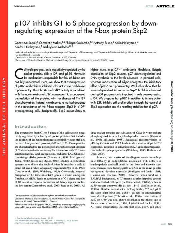 (PDF) p107 inhibits G1 to S phase progression by down-regulating ...