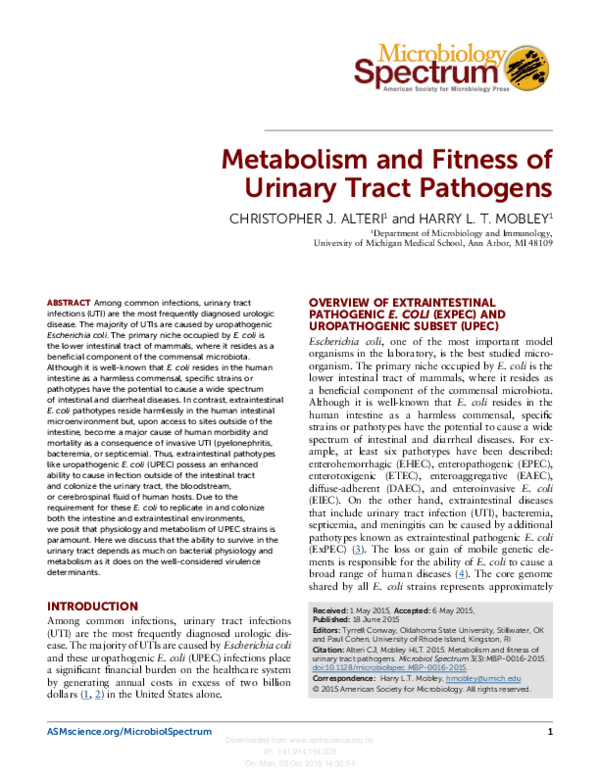 (PDF) Metabolism and Fitness of Urinary Tract Pathogens