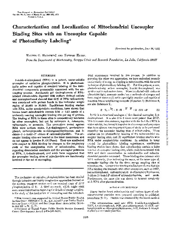(PDF) Characterization and Localization of Mitochondrial Uncoupler ...