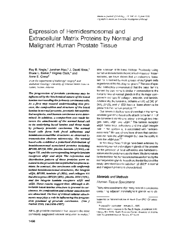 (PDF) Expression of hemidesmosomal and extracellular matrix proteins by ...