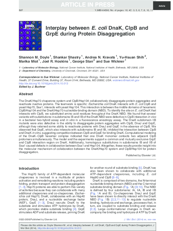 (PDF) Interplay between E. coli DnaK, ClpB and GrpE during Protein ...