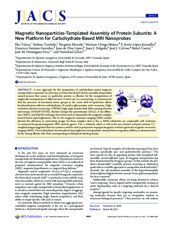 (PDF) Magnetic Nanoparticles-Templated Assembly of Protein Subunits: A ...