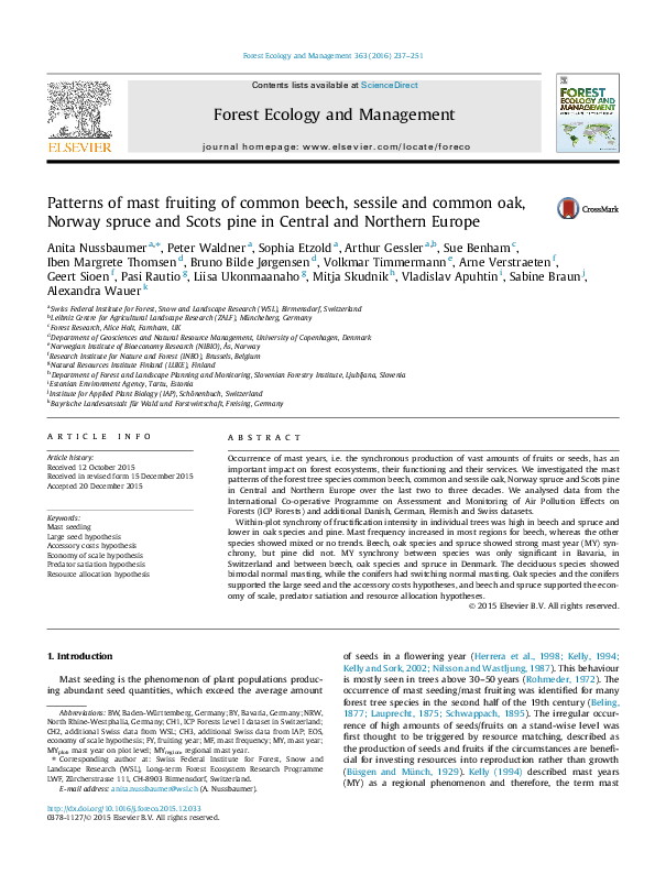 (PDF) Patterns of mast fruiting of common beech, sessile and common oak ...