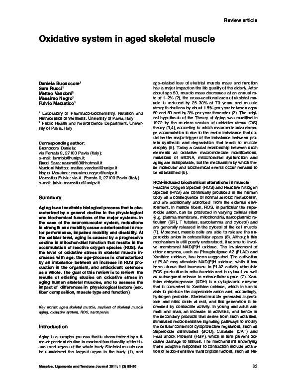 (PDF) Oxidative system in aged skeletal muscle