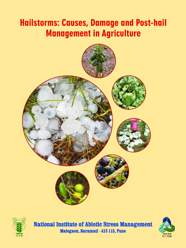 (PDF) Hailstorms: Causes, Damage and Post-hail Management in Agriculture