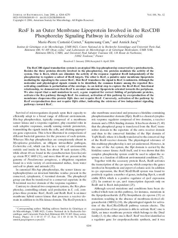 (PDF) RcsF Is an Outer Membrane Lipoprotein Involved in the RcsCDB ...