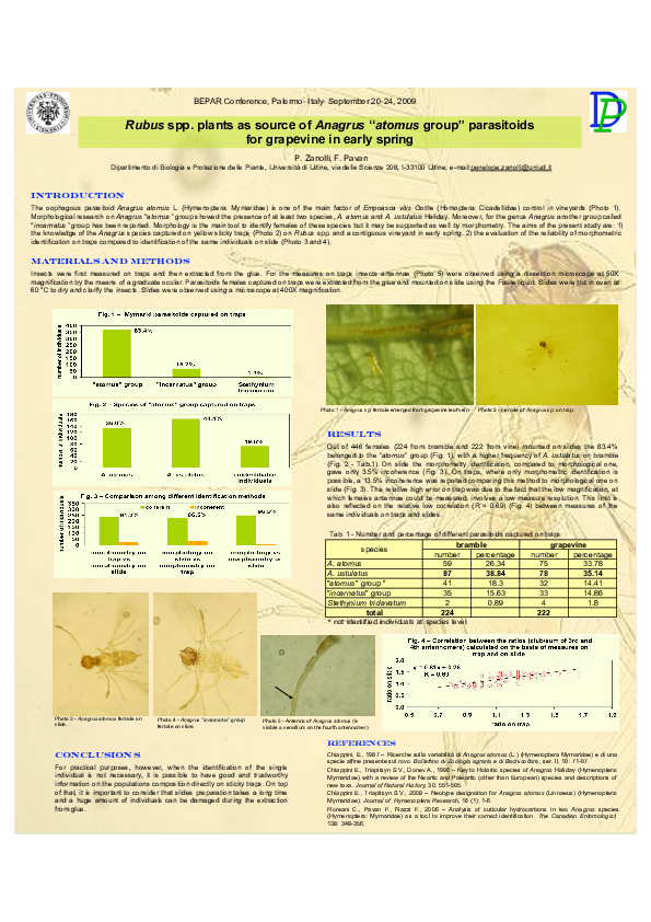 (PDF) Rubus spp. plants as source of Anagrus “atomus group” parasitoids ...