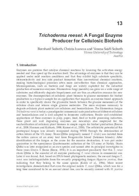 (PDF) Trichoderma reesei: A Fungal Enzyme Producer for Cellulosic Biofuels
