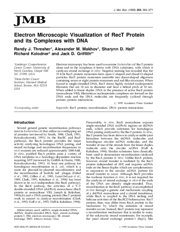 (PDF) Electron Microscopic Visualization of RecT Protein and its ...