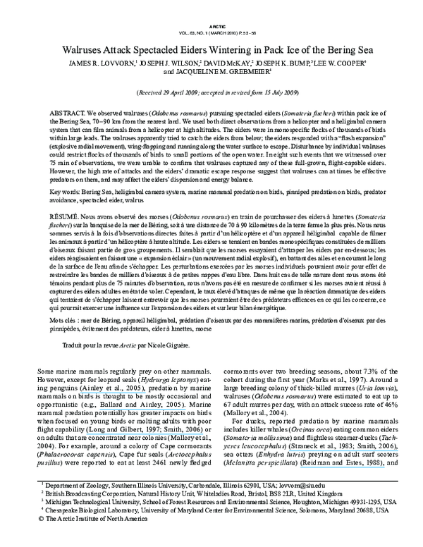 (PDF) Walruses Attack Spectacled Eiders Wintering in Pack Ice of the ...
