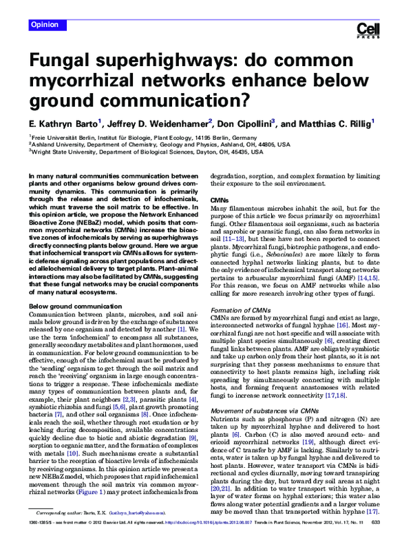 (PDF) Fungal superhighways: do common mycorrhizal networks enhance ...