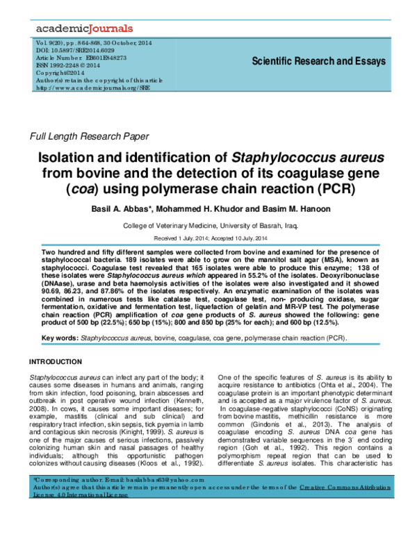 (PDF) Scientific Research and Essays Isolation and identification of Staphylococcus aureus from ...
