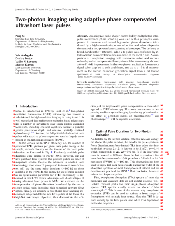 (PDF) Two-photon imaging using adaptive phase compensated ultrashort ...