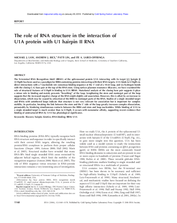 (PDF) The role of RNA structure in the interaction of U1A protein with U1 hairpin II RNA