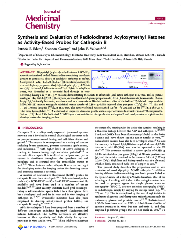 (PDF) Synthesis and evaluation of radioiodinated acyloxymethyl ketones ...