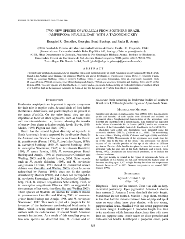 (PDF) Two New Species of Hyalella from Southern Brazil (Amphipoda ...