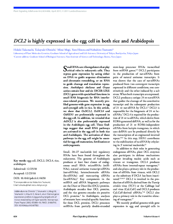 (PDF) DCL2 is highly expressed in the egg cell in both rice and Arabidopsis