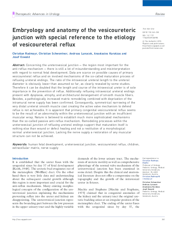 (PDF) Embryology and anatomy of the vesicoureteric junction with ...