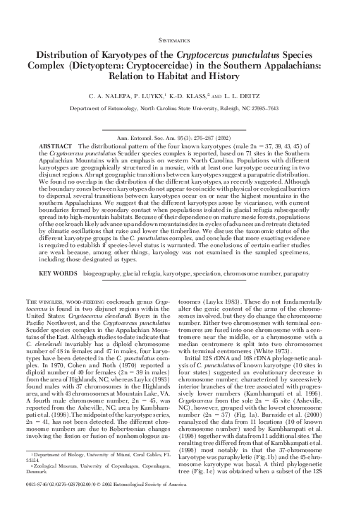 (PDF) Distribution of Karyotypes of the Cryptocercus punctulatus ...