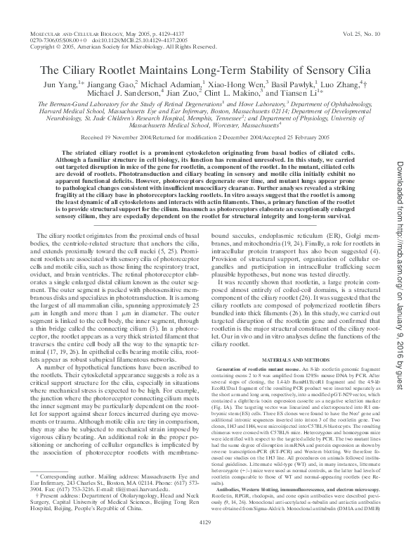(PDF) The Ciliary Rootlet Maintains Long-Term Stability of Sensory Cilia