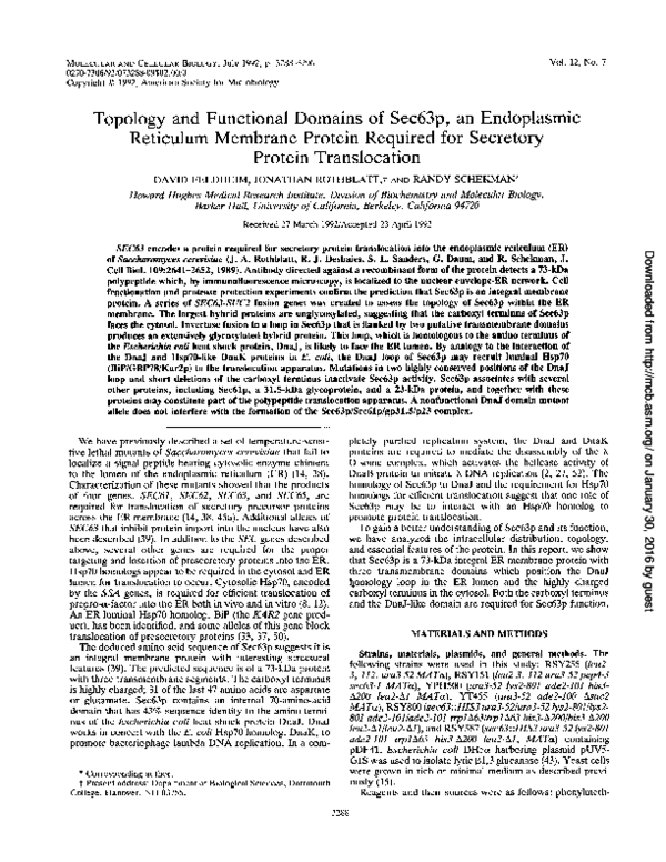 (PDF) Structural basis for coupling protein transport and N ...