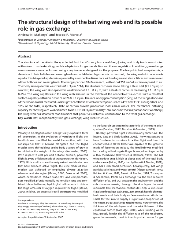 (PDF) The structural design of the bat wing web and its possible role ...