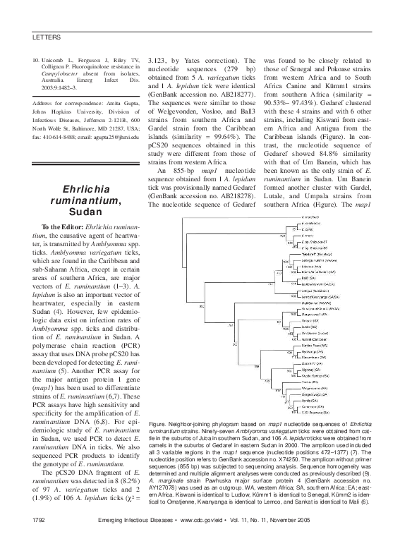 (PDF) Ehrlichia ruminantium , Sudan