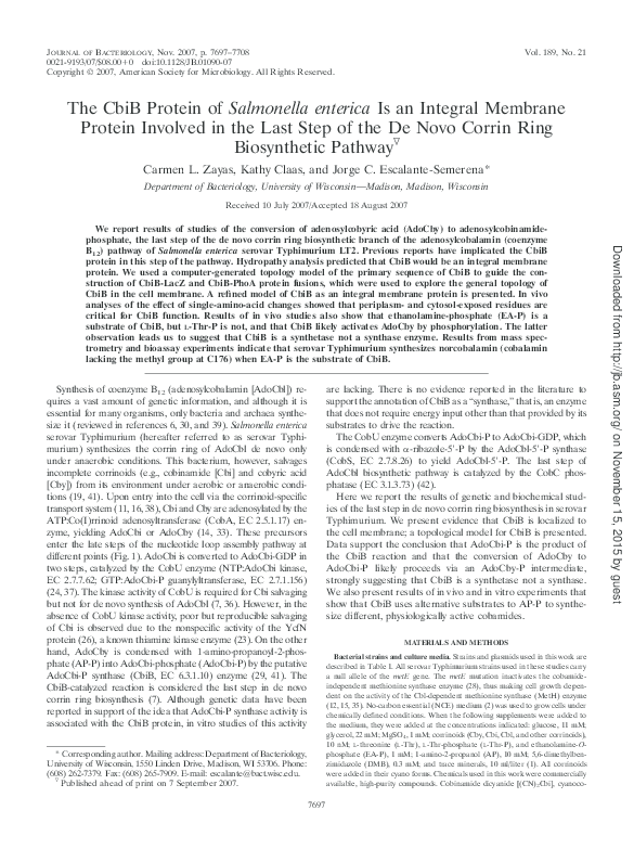 (PDF) CbiB Protein in Corrin Biosynthesis of Salmonella
