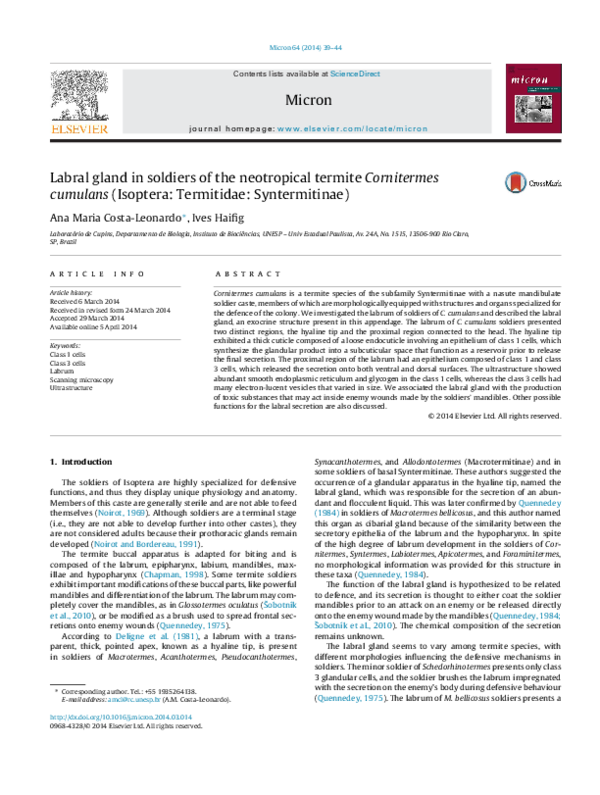 (PDF) Labral gland in soldiers of the neotropical termite Cornitermes ...