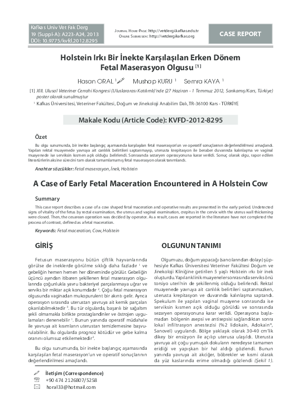 A Case of Early Fetal Maceration Encountered in A Holstein Cow