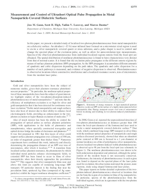 (PDF) Measurement and Control of Ultrashort Optical Pulse Propagation in Metal Nanoparticle ...