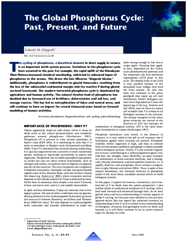 (PDF) The Global Phosphorus Cycle: Past, Present, and Future