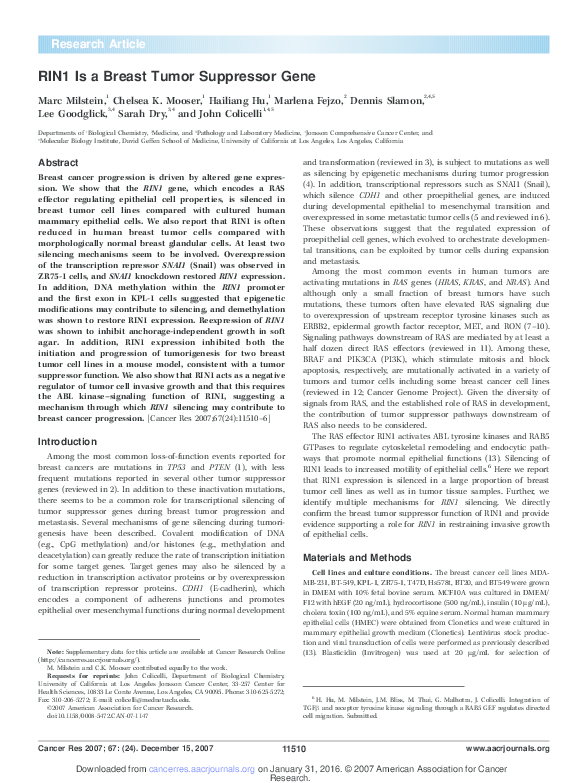 (PDF) RIN1 as a Tumor Suppressor in Breast Cancer Progression