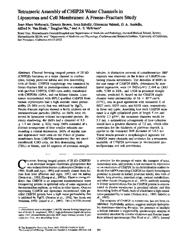 (PDF) Tetrameric assembly of CHIP28 water channels in liposomes and ...
