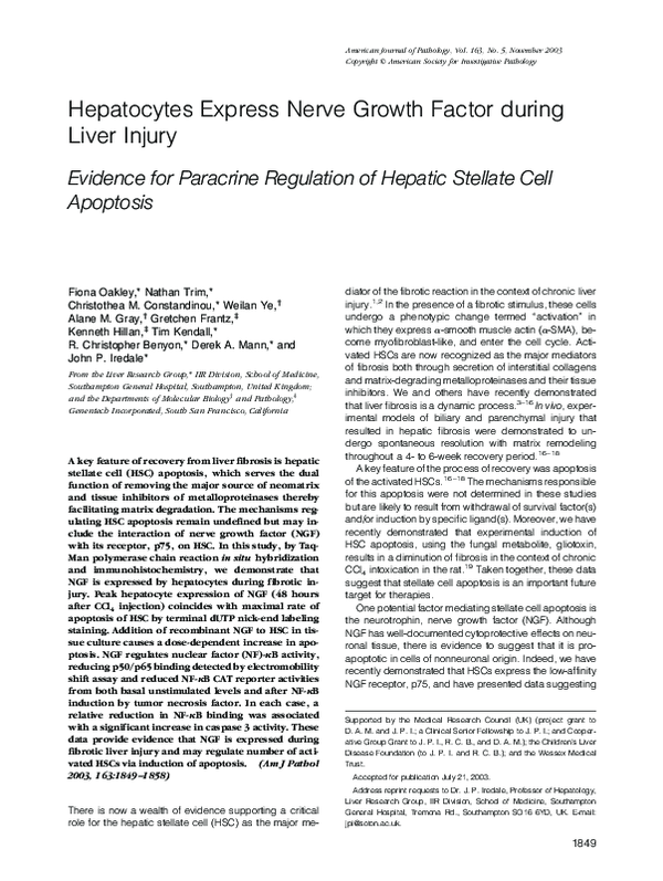 (PDF) Hepatocytes express nerve growth factor during liver injury ...