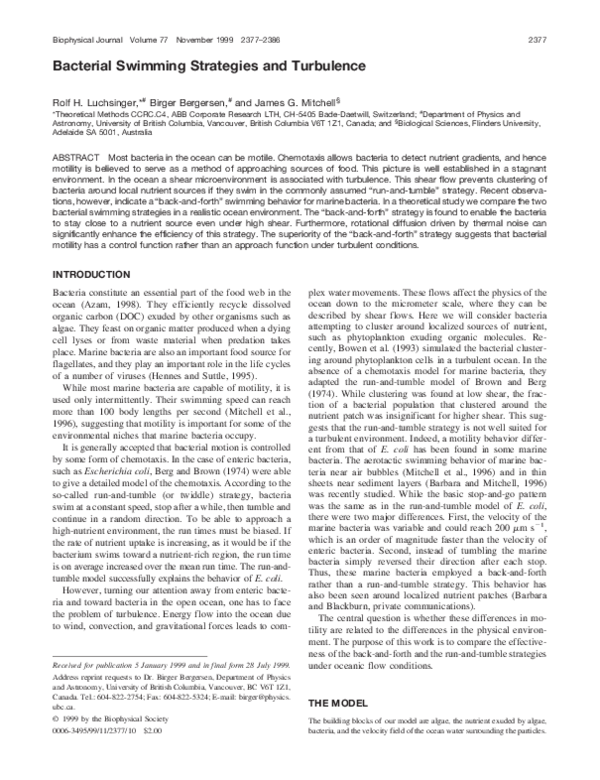 (PDF) Bacterial Swimming Strategies and Turbulence