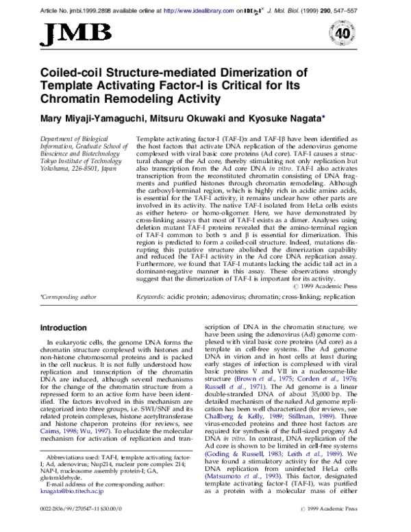 (PDF) Coiled-coil structure-mediated dimerization of template ...