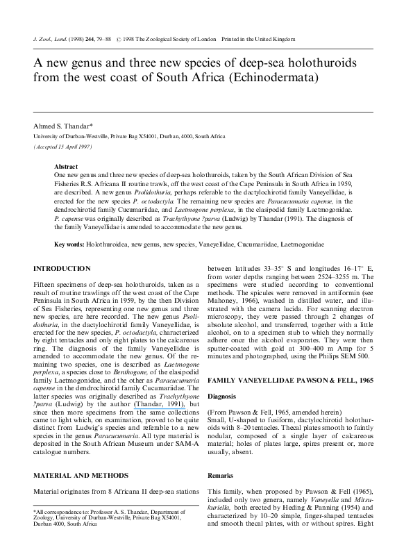 (PDF) A new genus and three new species of deep-sea holothuroids from ...