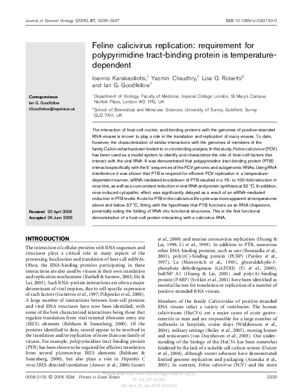 (PDF) Feline calicivirus replication: requirement for polypyrimidine ...