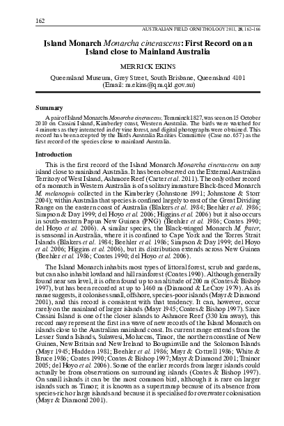 (PDF) Island Monarch Monarcha cinerascens: First record on an island ...
