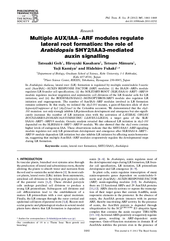 (PDF) Multiple AUX/IAA-ARF modules regulate lateral root formation: the ...