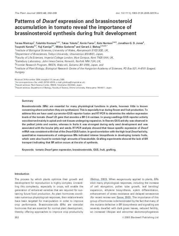 (PDF) Patterns of Dwarf expression and brassinosteroid accumulation in ...