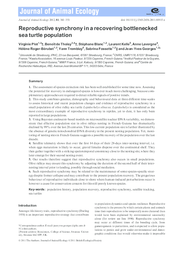 (PDF) Reproductive synchrony in a recovering bottlenecked sea turtle ...