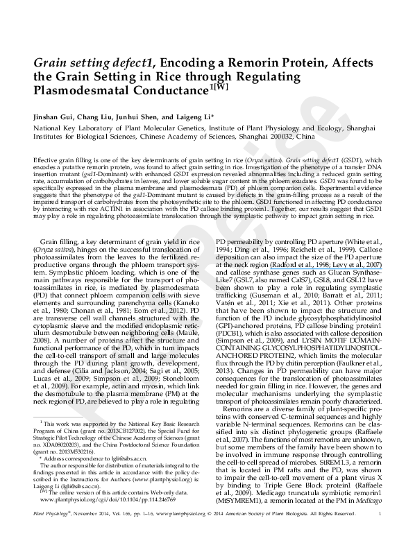 (PDF) Grain setting defect1, encoding a remorin protein, affects the ...