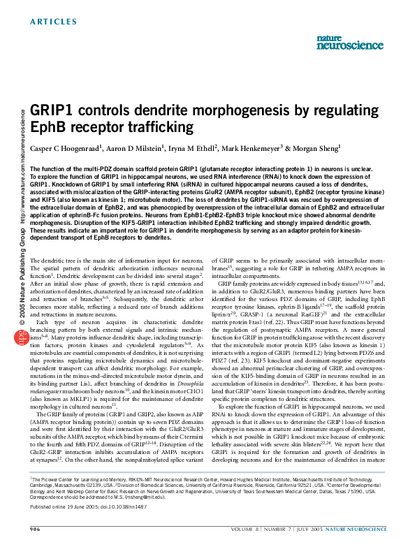 (PDF) GRIP1's Role in Dendrite Morphogenesis