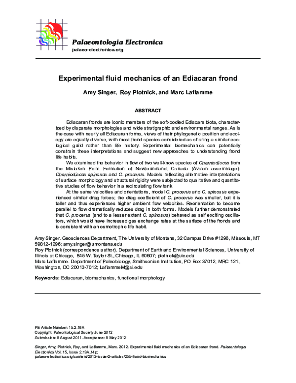 (PDF) Experimental fluid mechanics of an Ediacaran frond