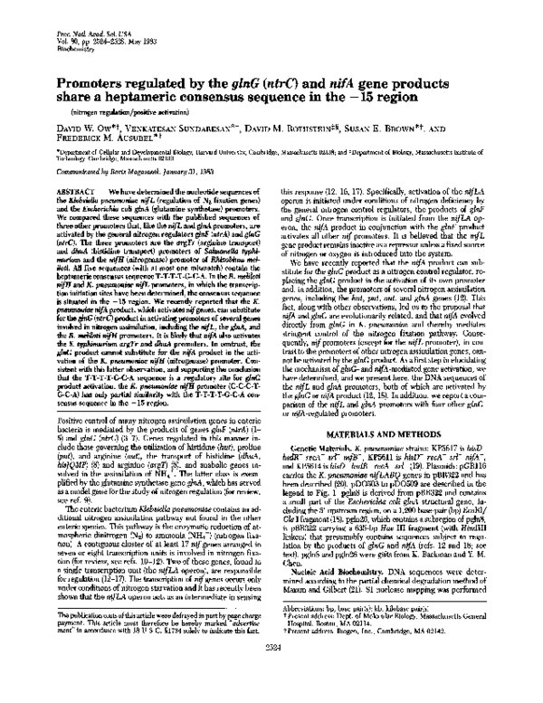 (PDF) Promoters regulated by the glnG (ntrC) and nifA gene products ...