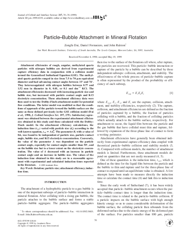 (PDF) Particle–Bubble Attachment in Mineral Flotation