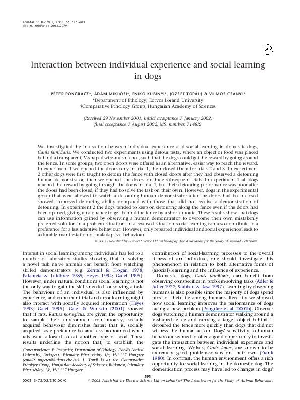 (PDF) Interaction between individual experience and social learning in dogs