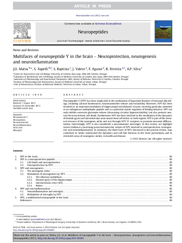 (PDF) Multifaces of neuropeptide Y in the brain – Neuroprotection, neurogenesis and ...